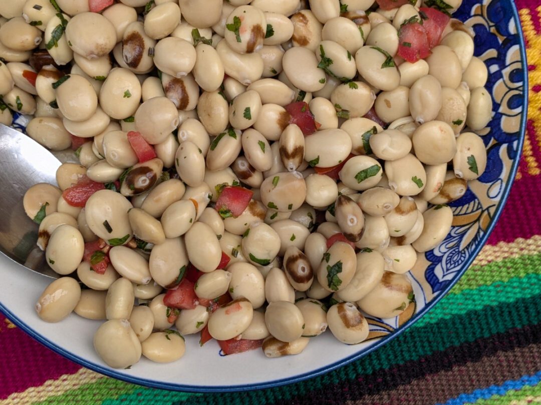 Chocho o Tarwi: El Tesoro Andino Que Merece Brillar